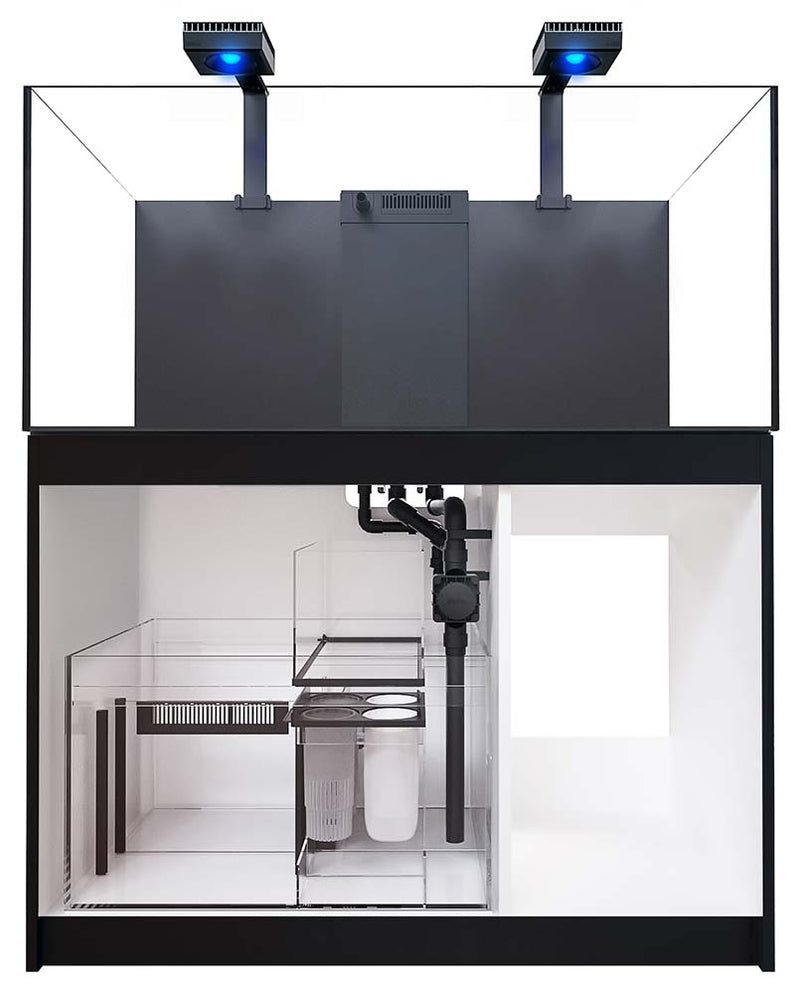 Red Sea REEFER 350 BLACK Deluxe Coral — Reef Lounge Fish